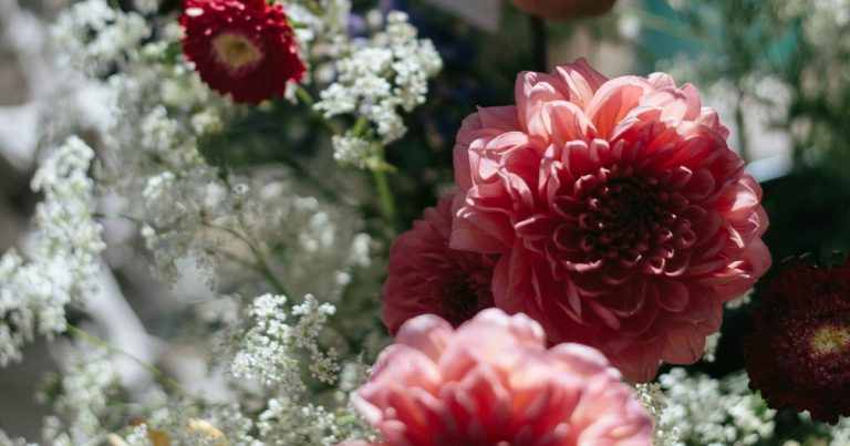 What is the Mexican Flower and Why is it Important?